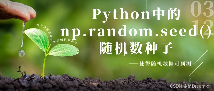 Python中的np.random.seed()随机数种子问题及解决方法 - 路饭网